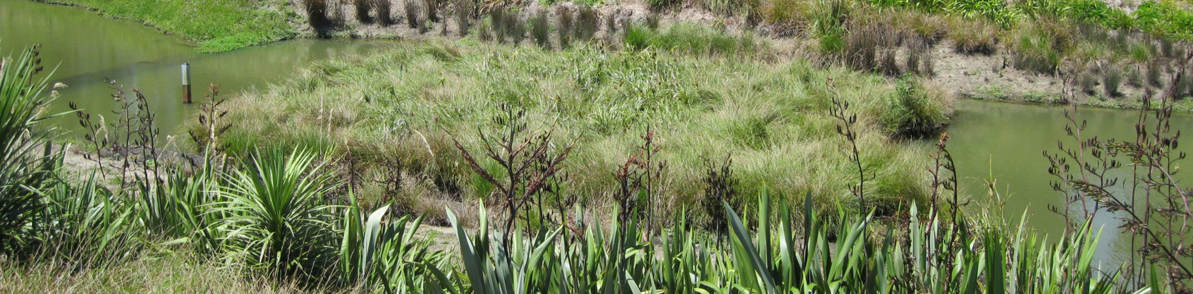 Rosedale Road West - Water treatment solutions, water treatment New ...